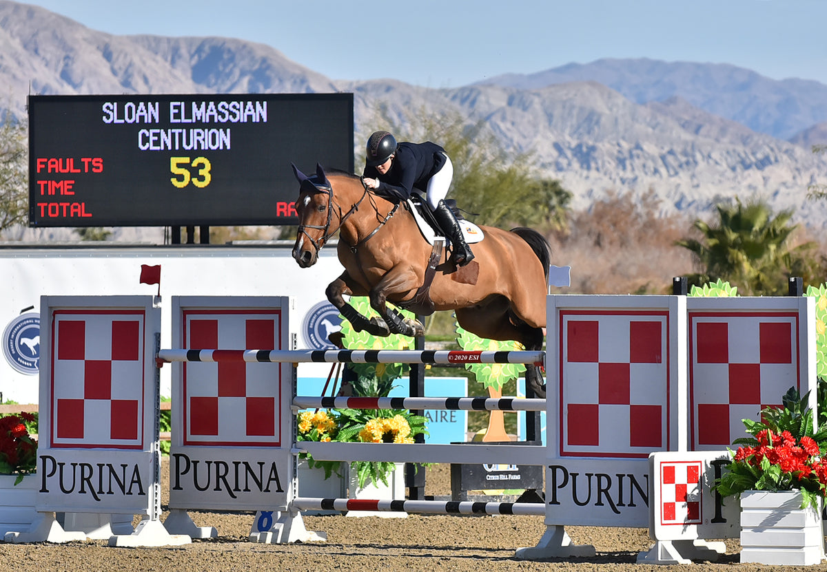 Rusty Brown Shines On Sloan Elmassian! | Rusty Brown